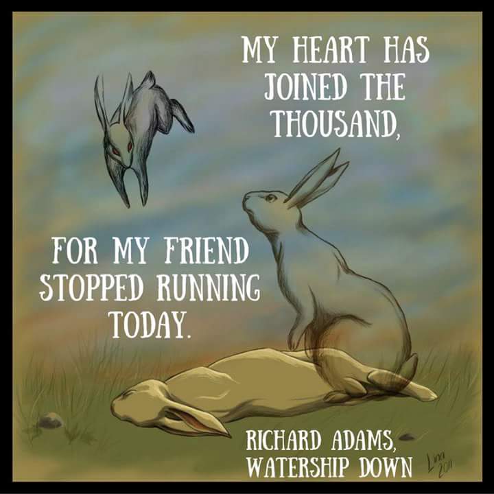 Watership Down Quote